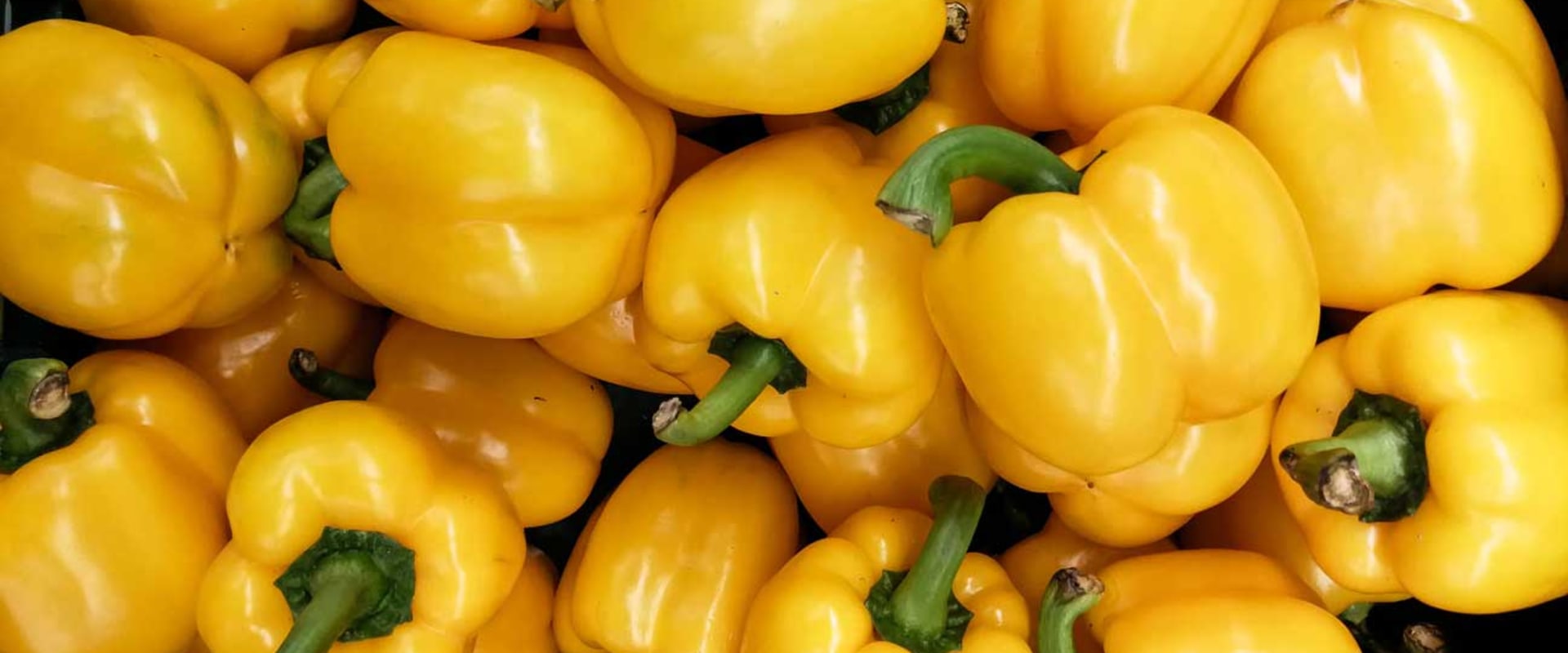 The Most Nutrient-Rich Foods: A Comprehensive Guide